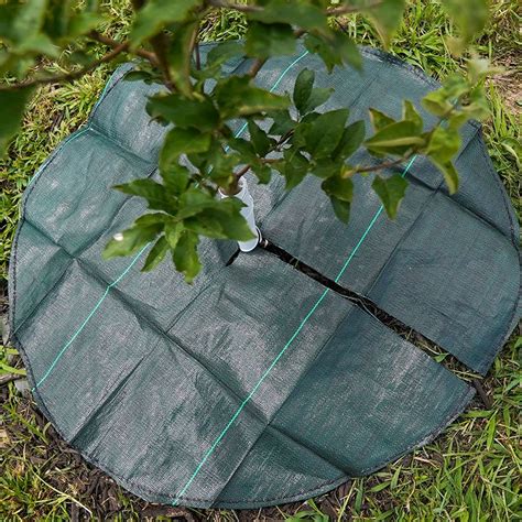 Tree Circle S Weed Barriers