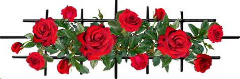 100 Free Trellis And Garden Images Pixabay