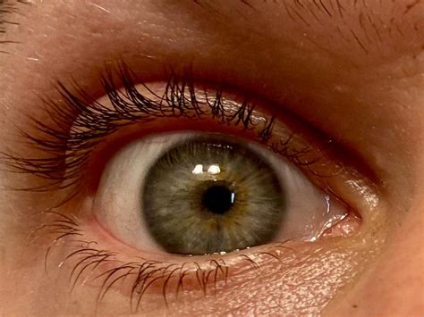 Hazel R Eyes