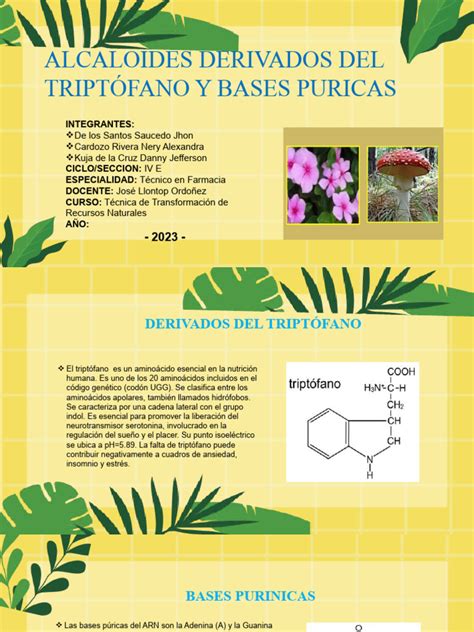 Derivados Del Triptofano Y Piricos Grupo Pdf Triptófano Codigo Genetico