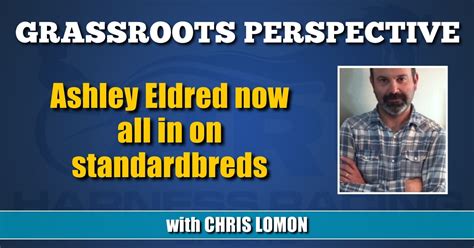 Ashley Eldred Now All In On Standardbreds Harness Racing Update