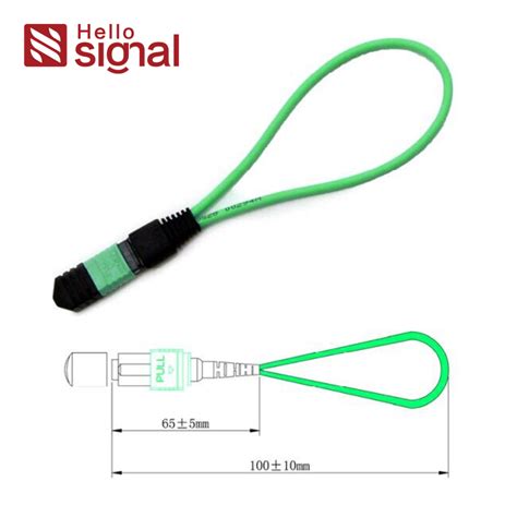 24f Mtp Sm Fiber Optic Loopback Module Cable China Manufacturer