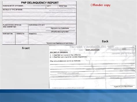 Supplemental Guidelines On The Delinquency Report System Strengthening