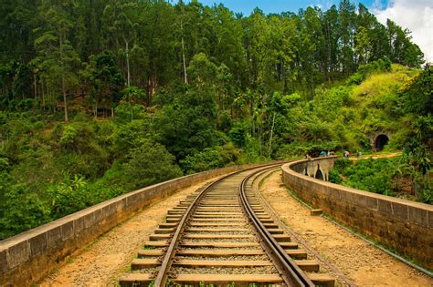 Estrada De Ferro Floresta Ferrovia Foto Gratuita No Pixabay Pixabay