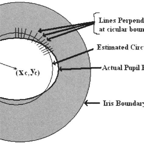 Non Circular Pupil Detection Download Scientific Diagram