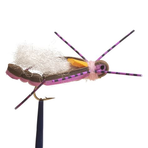 Terrestrials