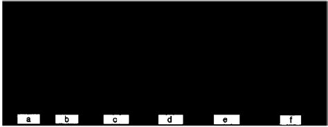 Tree Medication For Trunk Injection Eureka Patsnap