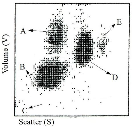 Applied Hematology Exam 1 Flashcards Quizlet