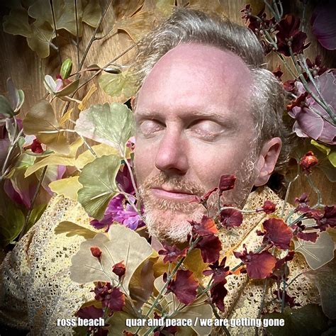 ‎ross Beachの「quar And Peace We Are Getting Gone」をapple Musicで