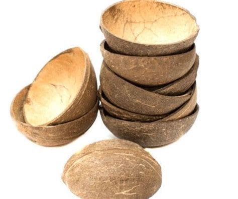 Coconut Shells Kenrich Overseas Trading Co