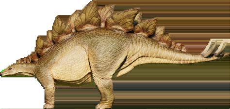 Jurassic Parkbygger Stegosaurus
