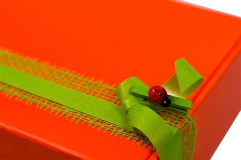 Premium Photo High Angle View Of Ladybug