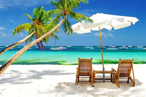 Beach Scene With Palm Tree And Chairs