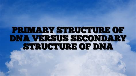 Primary Structure Of Dna Versus Secondary Structure Of Dna Austin Tommy