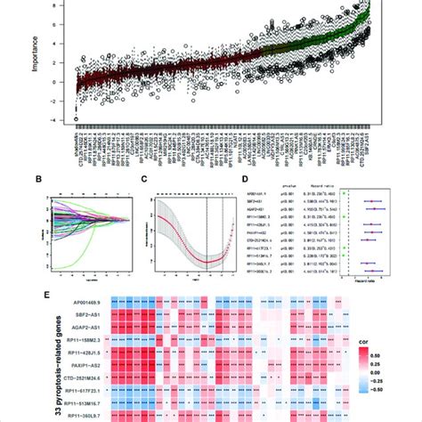 Construction Of The Prognostic Pyroptosis Related Lncrna Prl Download Scientific Diagram