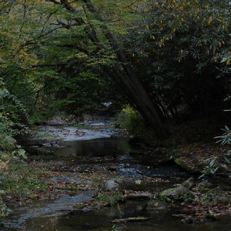 Visualization Meditation Script Pdf The Wellness Society Self Help Therapy And Coaching Tools