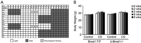 Shift Work Simulating Cd Protocol A The Shift Work Simulating Cd