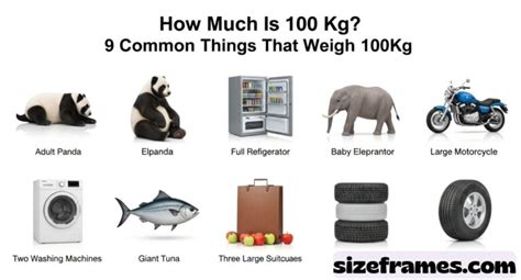 How Much Is 100 Kg 9 Common Things That Weigh 100kg