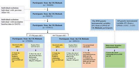 The Flow Chart Of The Analysis Process Bmi Body Mass Index Ad
