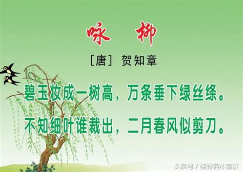 桂香苑小寶貝之家小學古文詩詞賞析之36：春風萬里最愛柳 詠柳 每日頭條