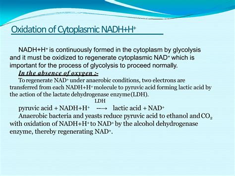 Bioenergetics Biological Oxidation Ppt
