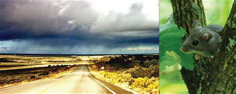 Biology Ecology Ecosystems Introduction Oer Commons
