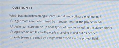 Solved Which Best Describes An Agile Team Used During Chegg