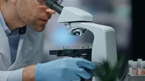 Lab Professional Stock Footage Royalty Free Video Clips Storyblocks