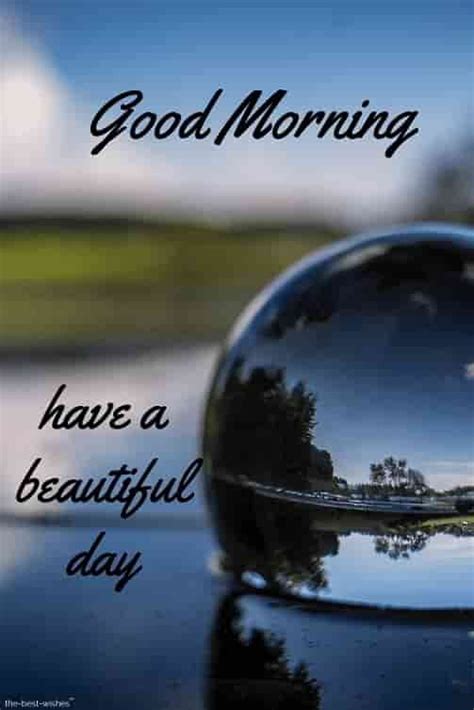 Dew Morning Quotes