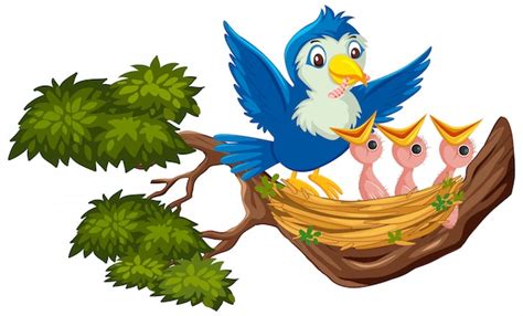 Premium Vector Mother Bird Feeding Chicks