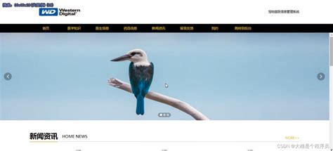 基于jsp和ssm实现宠物医院信息管理系统演示【附项目源码】分享免费开源宠物医院系统 Csdn博客