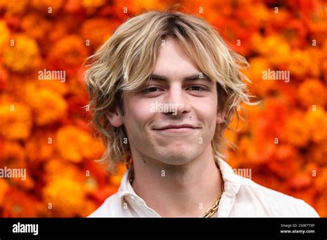 Ross Lynch Brown Hair