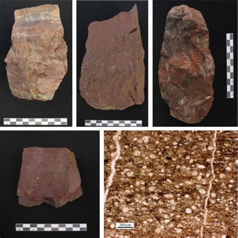 La Désirade Red Chert Upper Row Three Chert Samples A Cobble Download Scientific Diagram