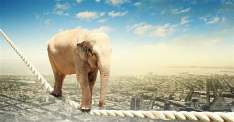 agile testing crossing the t s qatestlab blog
