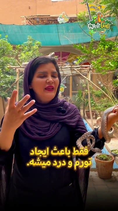 افعی و خانم نیکو Youtube