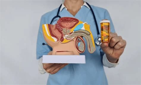 Alternative Erectile Dysfunction Treatments Pregenzer Urology