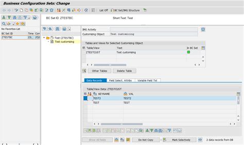 SCP Business Configuration Set Issue AbapGit AbapGit GitHub