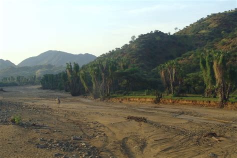 Elevation Map Of Gash Barka Eritrea Topographic Map Altitude Map
