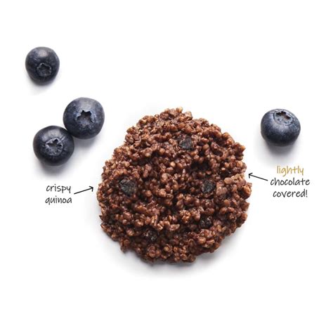 Dark Chocolate Blueberries Mini Crisps7 Count 3oz Bags Undercover Snacks