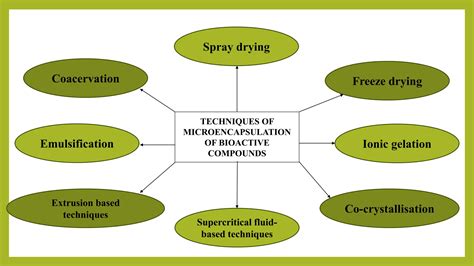 Micro Encapsulation As A Noble Technique For Application Of Bio Active Compounds In The Food