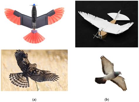 Drones Free Full Text Review Of Biomimetic Approaches For Drones
