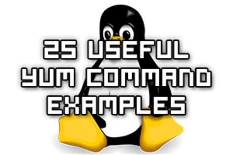 Yum Command Examples RootUsers