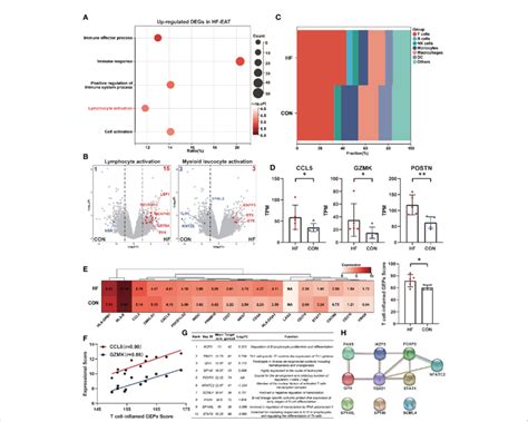 Amplified Lymphocyte Activation Features In Eat Of Hf Patients A
