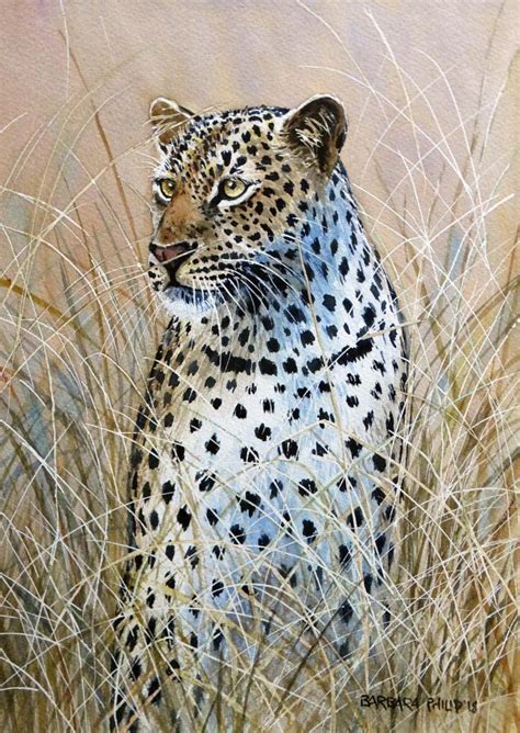 Leopard In The Grass Barbara Philip