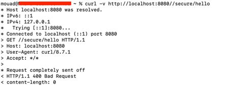 Spring Webflux Authorization Bypass Cve 2024 38821 Explained