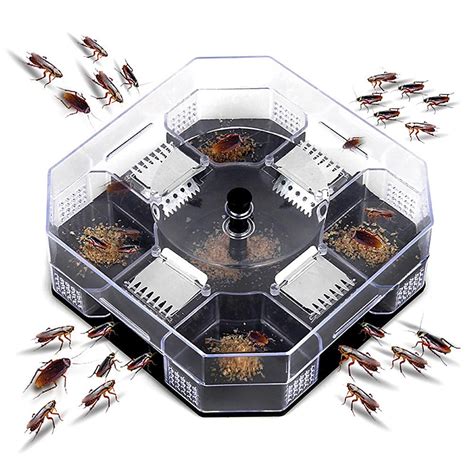 Shengdong Cockroach Trap Box Reusable Roach Catcher Trap For Indoor