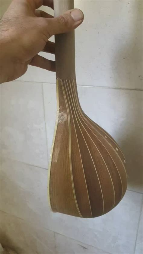 ‎سه تار ایمان شگرفی‎ Setar Shegarfi • Instagram Photos And Videos