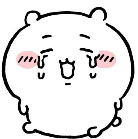 Chikawa Trong 2025 Gấu Con Thiệp Hình Vui