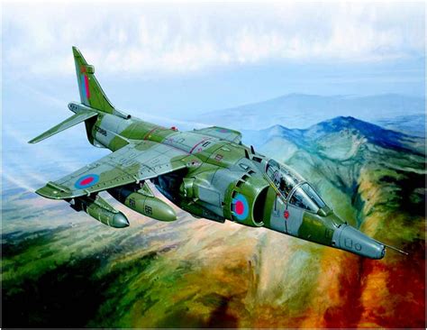 Raf Sea Harrier Falklands War Falklands War Art Pinterest