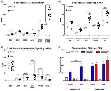 Neonatal Naïve Cd4 T Cells Demonstrate Decreased T Cell Receptor Download Scientific Diagram